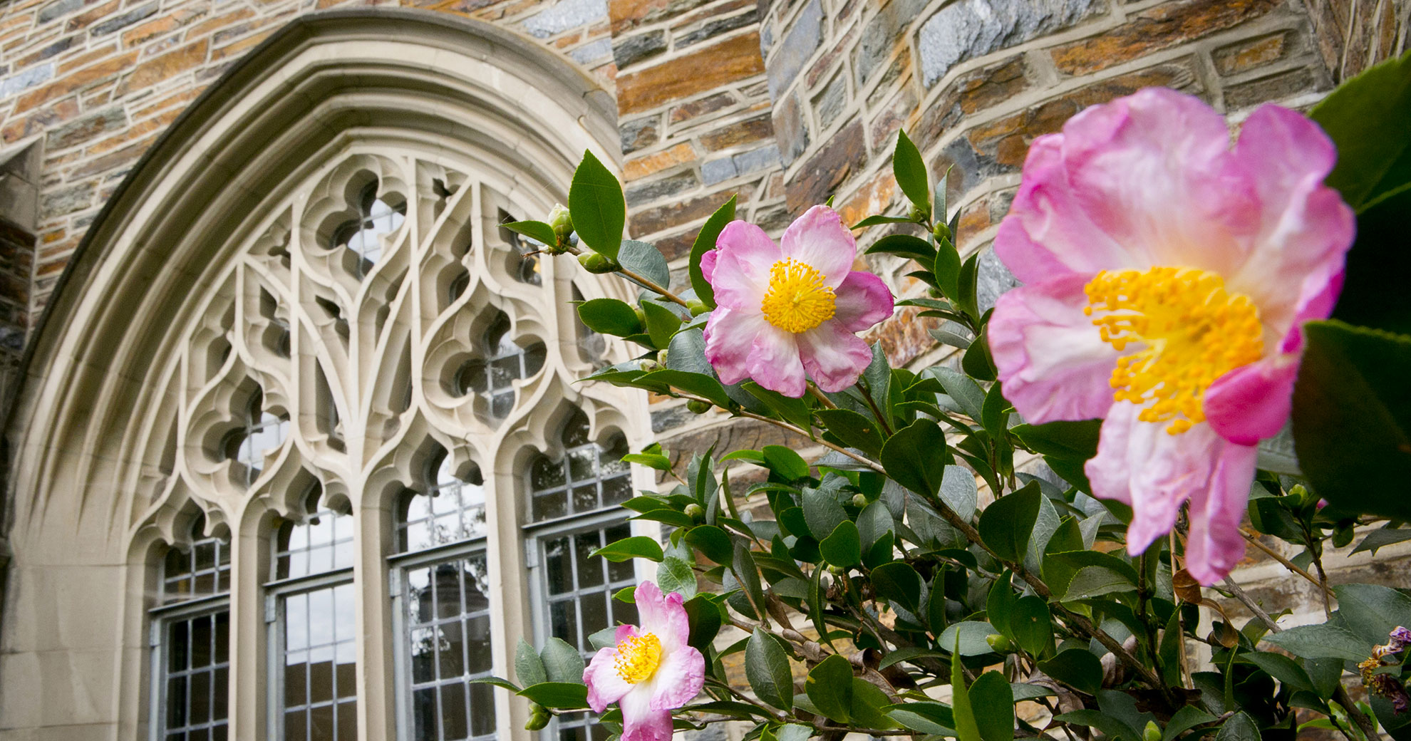 Support for the Duke Community - Coronavirus Response